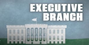Executive Branch: Functions, Roles & U.S. Structure